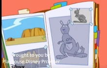 Kangaroo Clean-Up | Stanley Wiki | Fandom