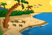 Remembering With Elephants | Stanley Wiki | Fandom