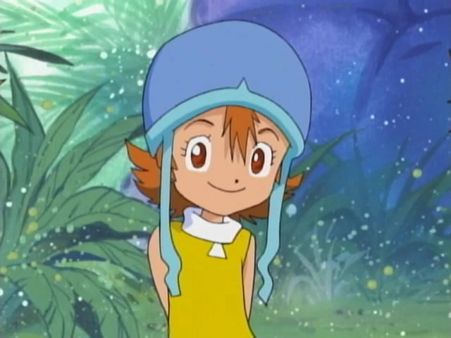 Sora Takenouchi | Japanese Anime Wiki | Fandom