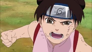 Tenten | Japanese Anime Wiki | Fandom