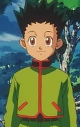 Gon Freecss | Japanese Anime Wiki | Fandom