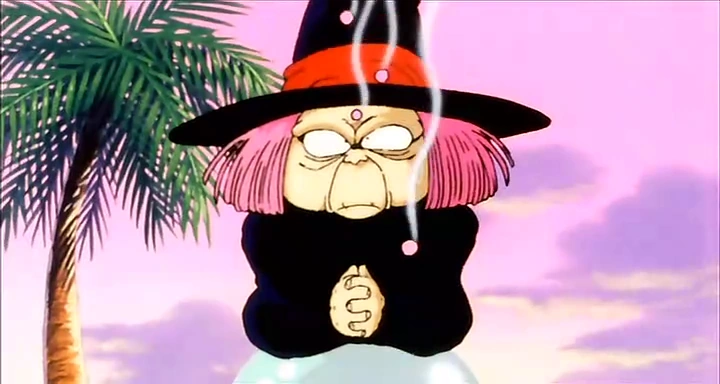 Fortuneteller Baba | Japanese Anime Wiki | Fandom