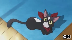 Max the cat | Japanese Anime Wiki | Fandom