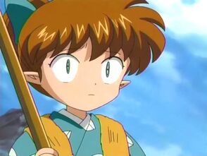 Shippo | Japanese Anime Wiki | Fandom