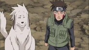 Akamaru | Japanese Anime Wiki | Fandom