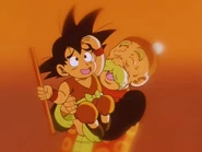 Grandpa Son Gohan | Japanese Anime Wiki | Fandom