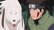 Akamaru | Japanese Anime Wiki | Fandom