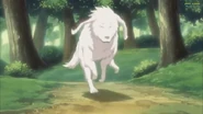 Akamaru | Japanese Anime Wiki | Fandom