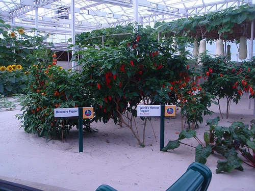 Living with the Land | Disney Theme Parks Wiki | Fandom