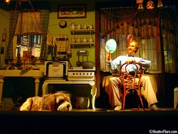 Walt Disney's Carousel of Progress | Disney Theme Parks Wiki | Fandom