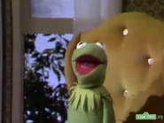 Kermit the Frog | Disney Theme Parks Wiki | Fandom