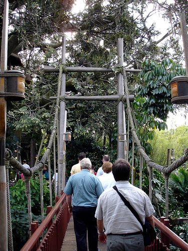 Swiss Family Treehouse (Walt Disney World) | Disney Theme Parks Wiki ...