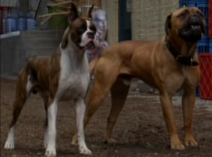 Ashcan and Pete | Wickedpedia | Fandom