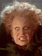 Winifred Sanderson | Wickedpedia | Fandom