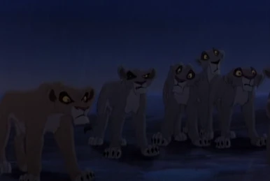 Lion King Spotty