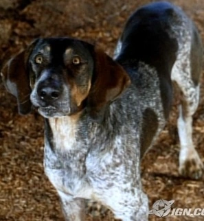 Savage Sam (Personaje) | Disney y Pixar | Fandom