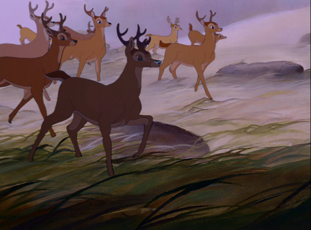 Deer | Disney y Pixar | Fandom