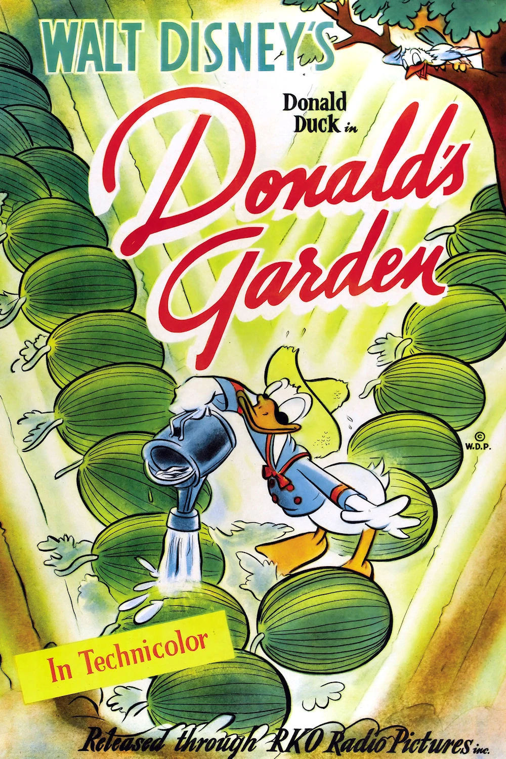 Donald's Garden | Disney y Pixar | Fandom