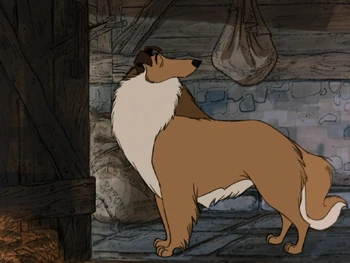 Collie | Disney y Pixar | Fandom