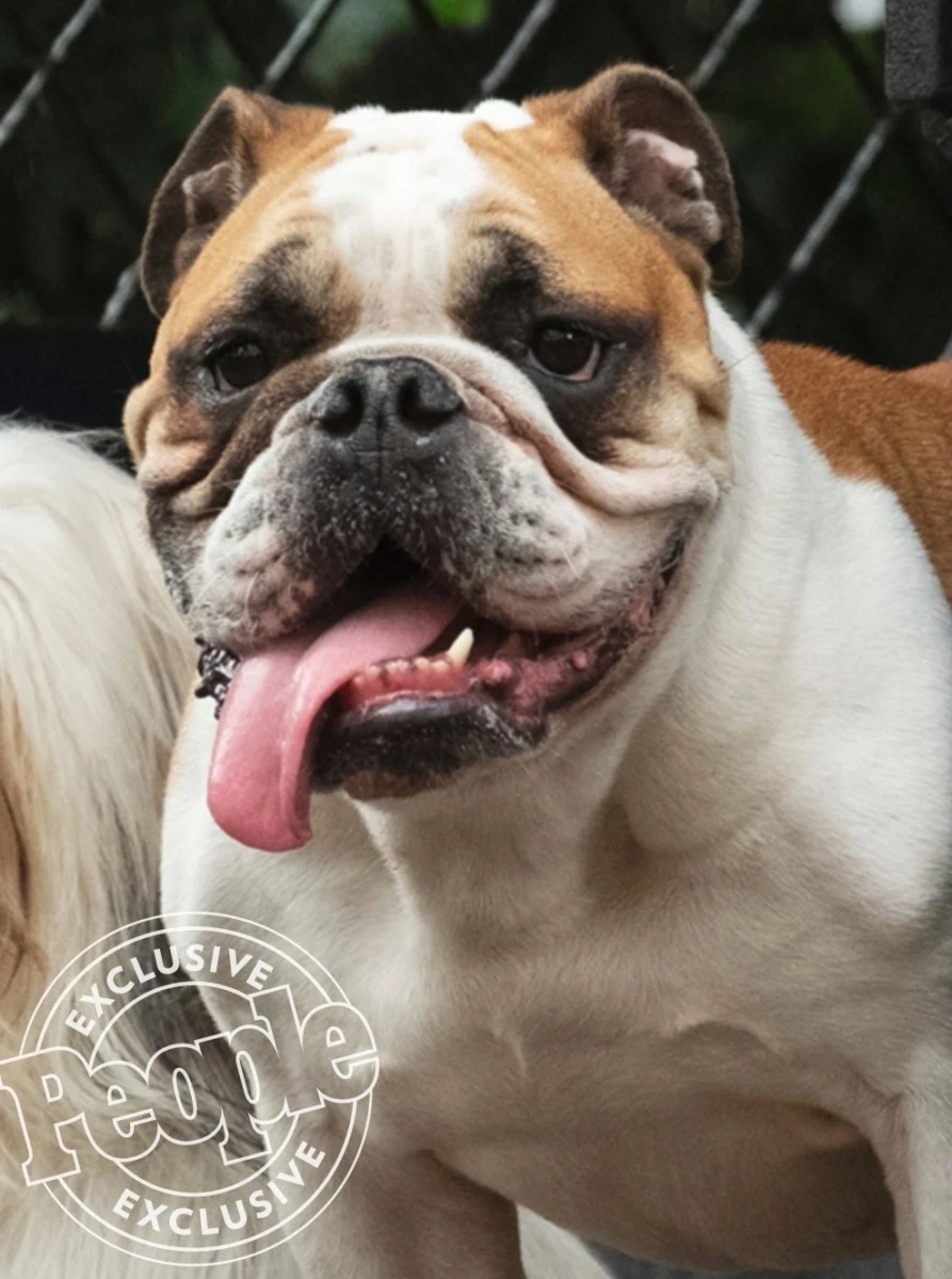 Bull (2019) | Disney y Pixar | Fandom