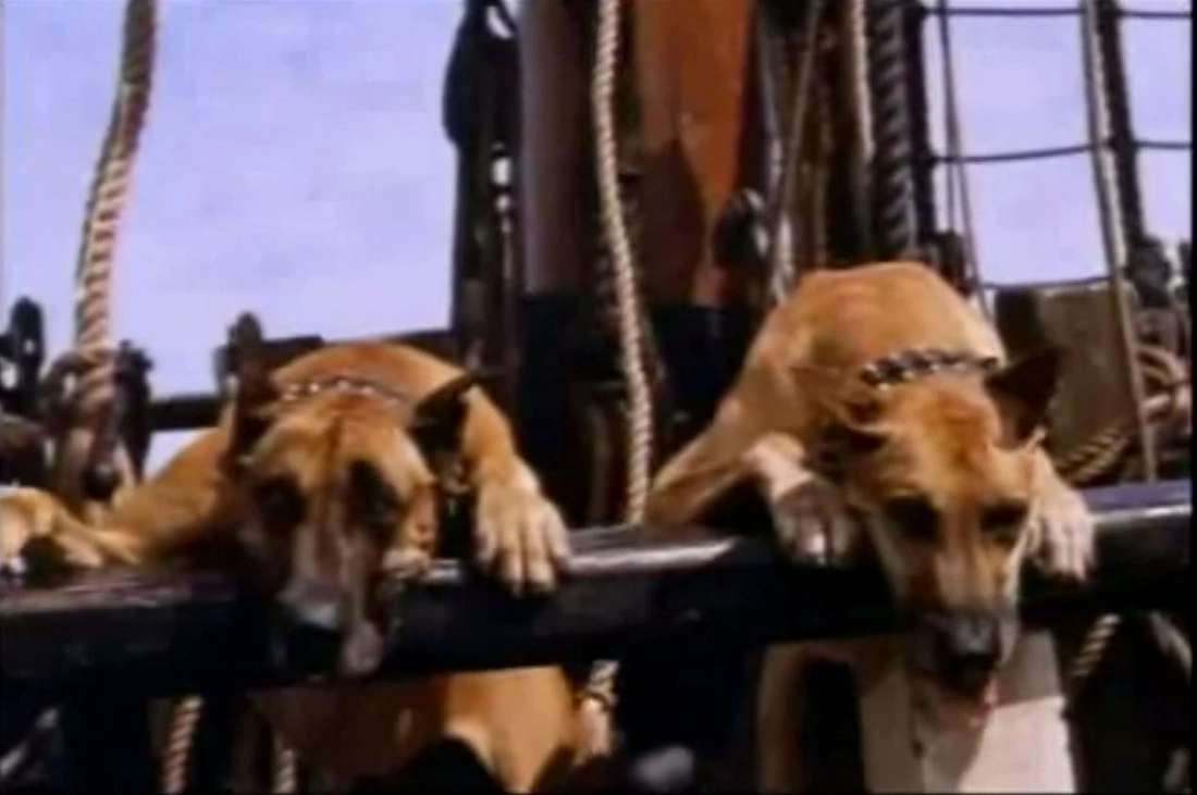 Duke & Turk | Disney y Pixar | Fandom