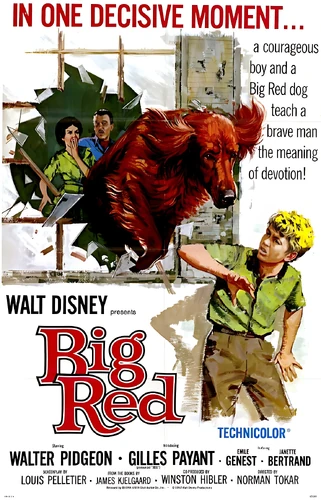 Big Red | Disney y Pixar | Fandom
