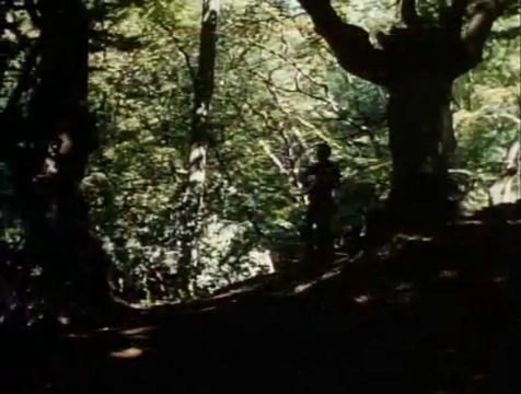 Riddle De Diddle De Day | Disney y Pixar | Fandom