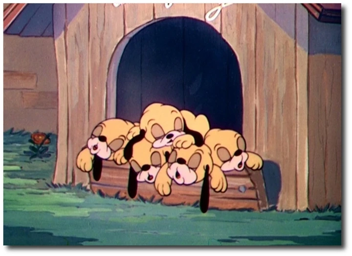 Quin-puplets | Disney y Pixar | Fandom