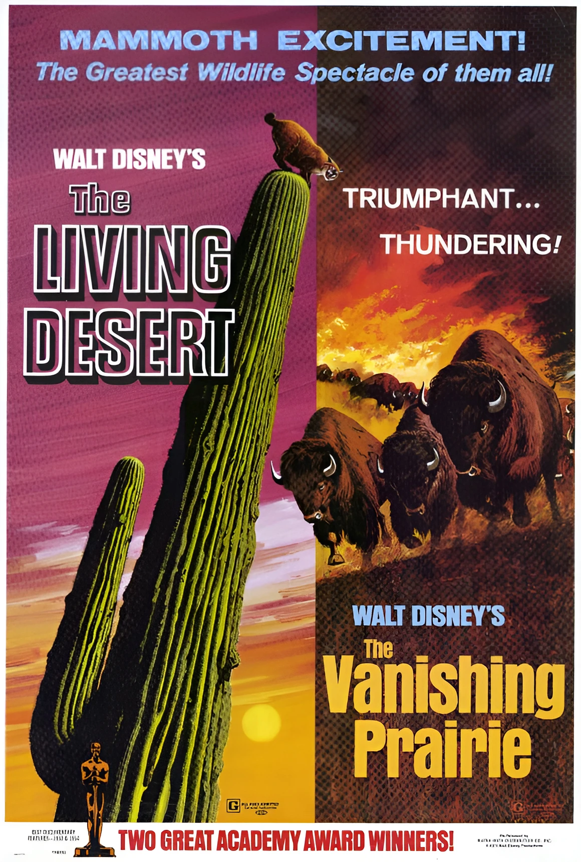 The Living Desert | Disney y Pixar | Fandom