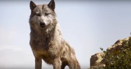 Akela (2016) | Disney y Pixar | Fandom