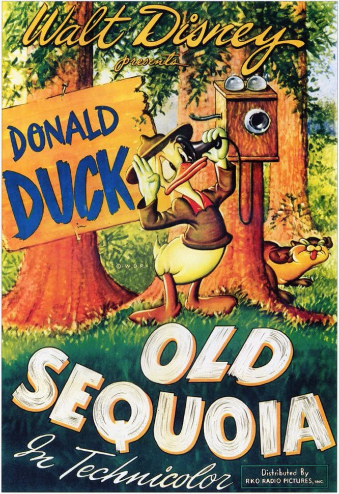 Old Sequoia | Disney y Pixar | Fandom