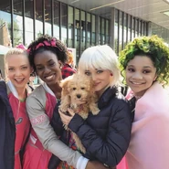 Lacey | DisneyZombies Wiki | Fandom