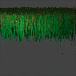 Grass | Distance Wiki | Fandom