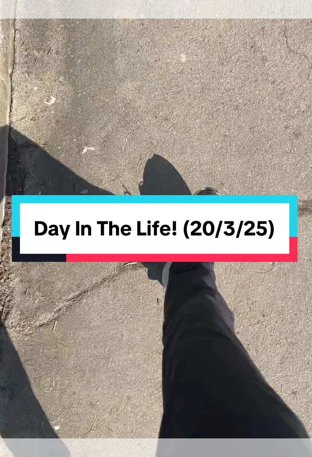 Thursday 20th March 2025 | DITL KIng Wiki | Fandom