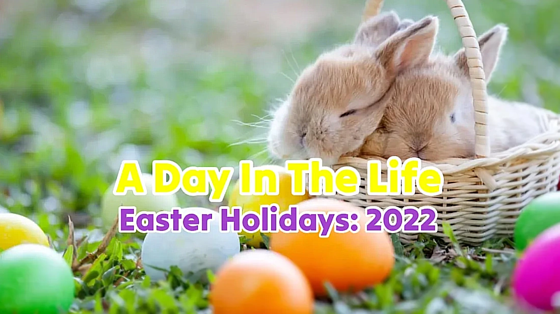 Wednesday 6th April 2022 | DITL KIng Wiki | Fandom