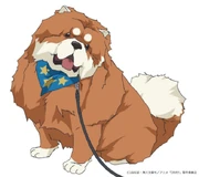 Tomoki Sakai | Dive!! Wiki | Fandom