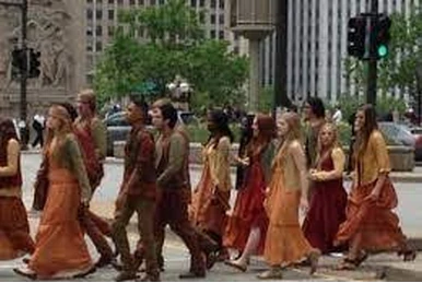Amity Manifesto Divergent