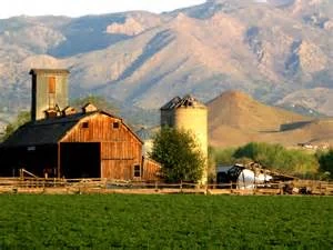 The Farming Grounds | Divergent Roleplay Universe Wiki | Fandom