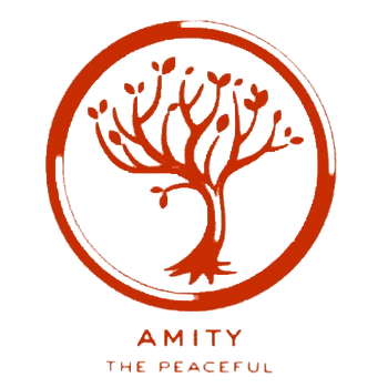 Amity | Divergent Wiki | Fandom