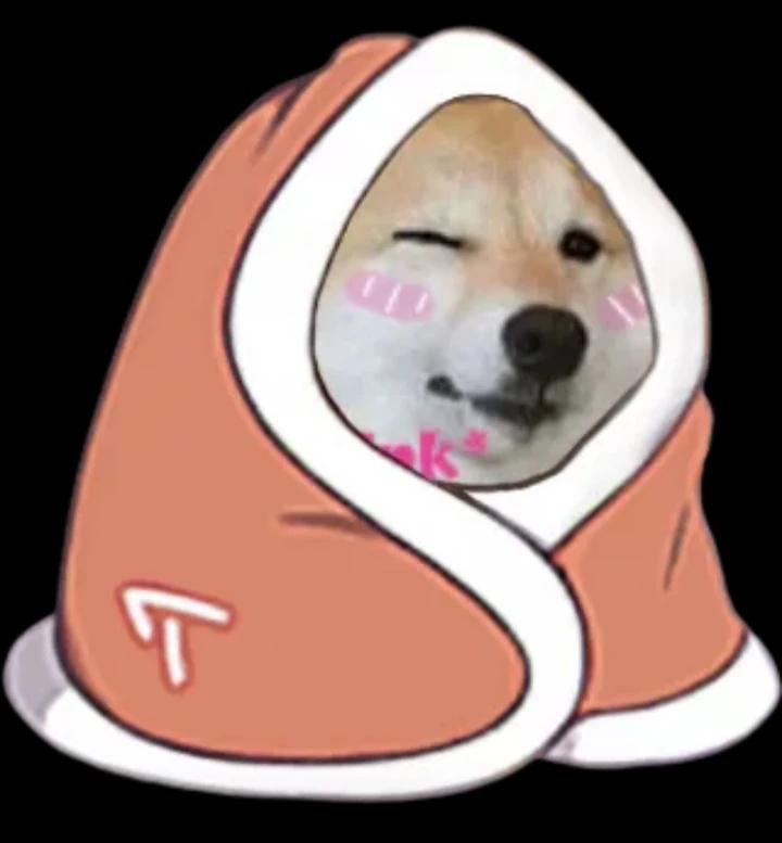 Doge | Diversity ORG Wiki | Fandom