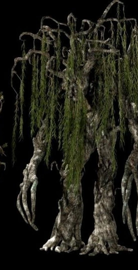 Mangrove Treant | Edivandic Wiki | Fandom