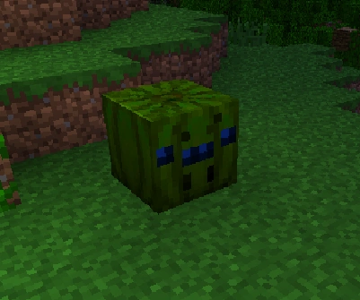 Junglespider Pumpkin | Divine RPG Wiki | Fandom