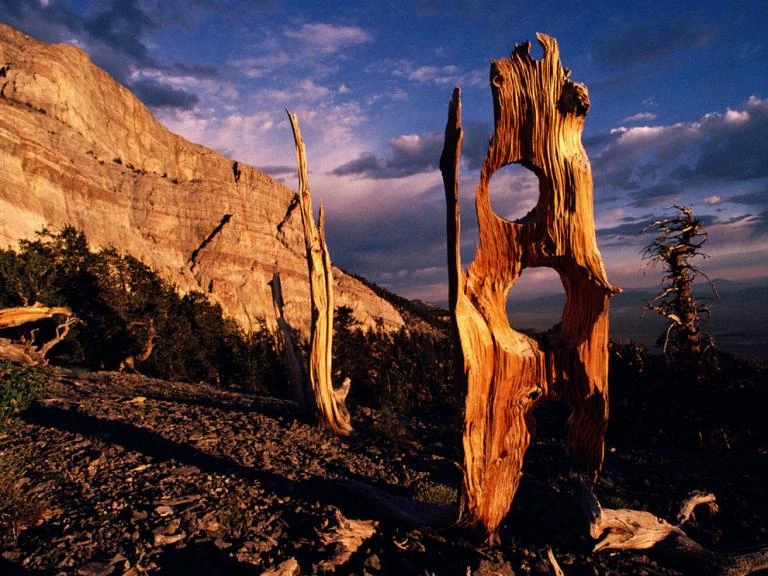 Mythopoeia | Divine Invention Wiki | Fandom