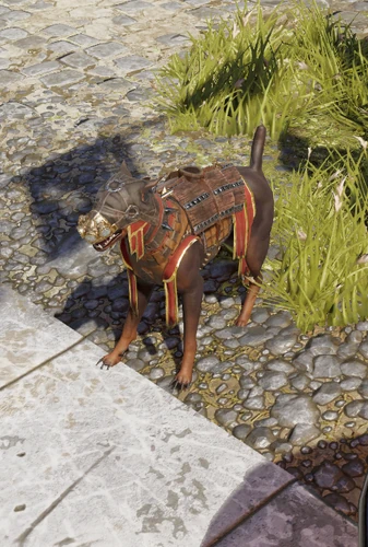 Hicka | Wiki Divinity: Original Sin 2 | Fandom