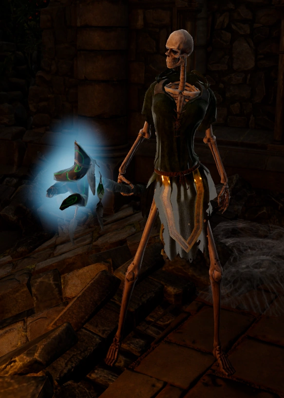 Cryomancer Guardian | Divinity Wiki | Fandom