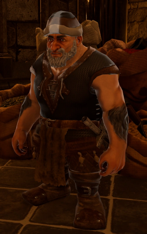 Cook (Arx) | Divinity Wiki | Fandom