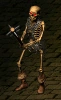 Skeleton | Divinity Wiki | Fandom