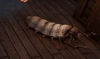 Void Hatchling | Divinity Wiki | Fandom