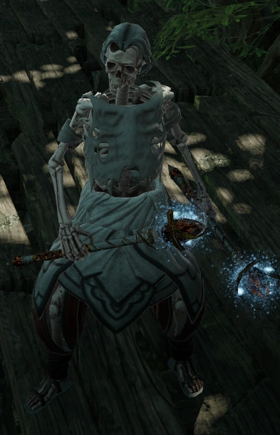 Decomposing Cryomancer | Divinity Wiki | Fandom