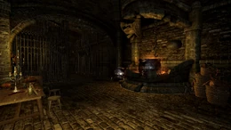 Sewer Tunnels | Divinity Wiki | Fandom